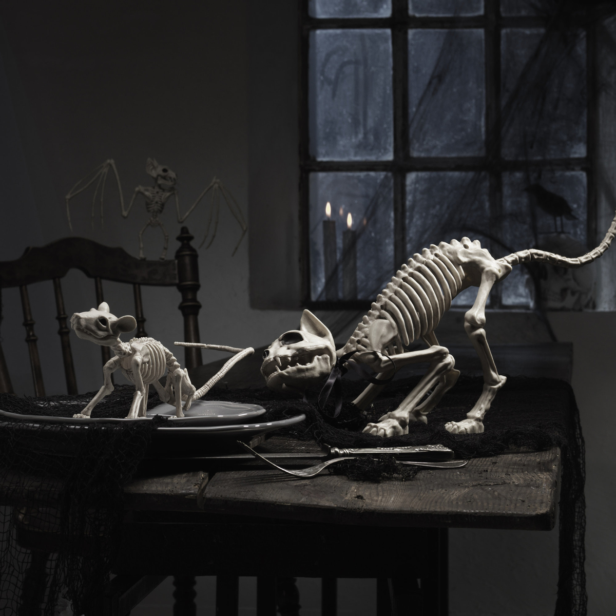 Skelett katt | Panduro