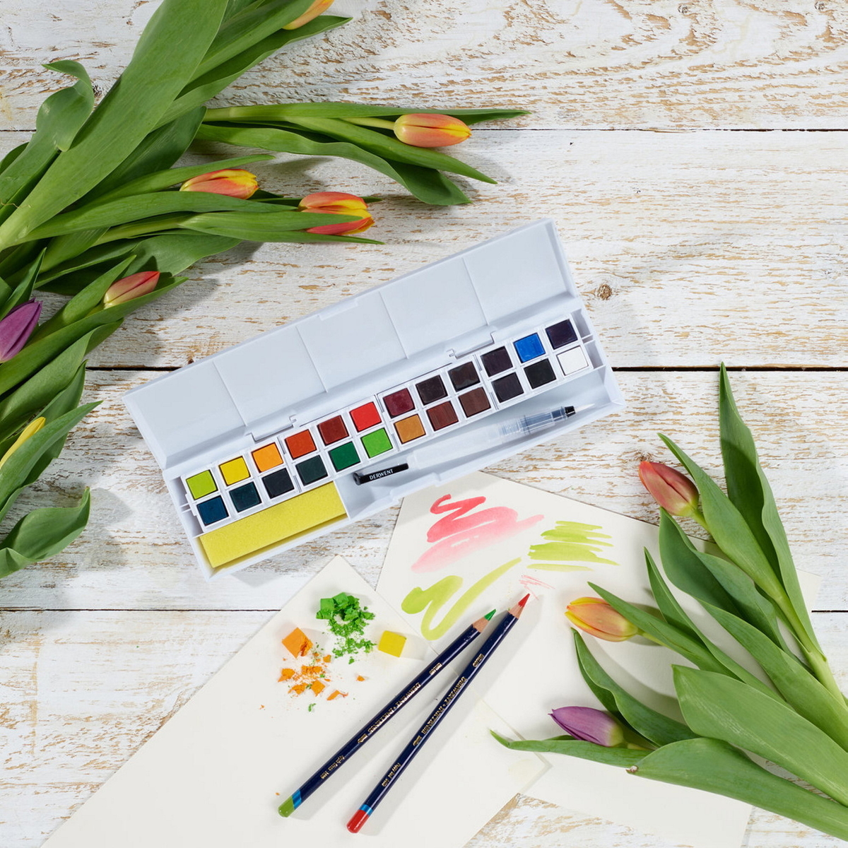 DW Inktense paint set 24hp