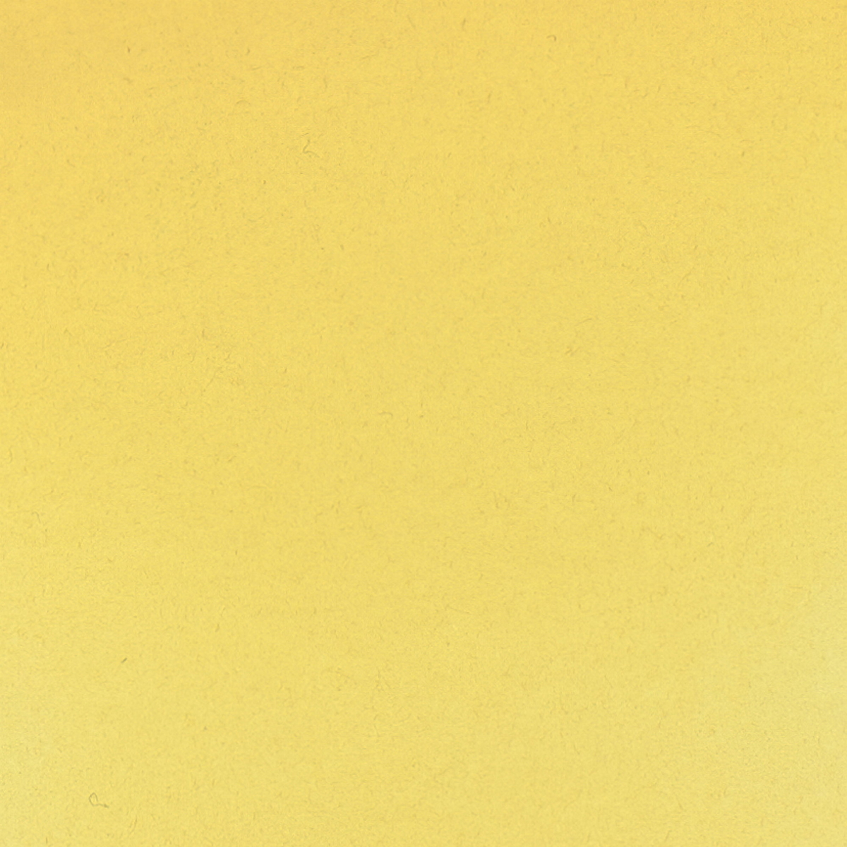Schmincke Horadam akvarellfärg 5 ml – Rutile yellow 205 | Panduro