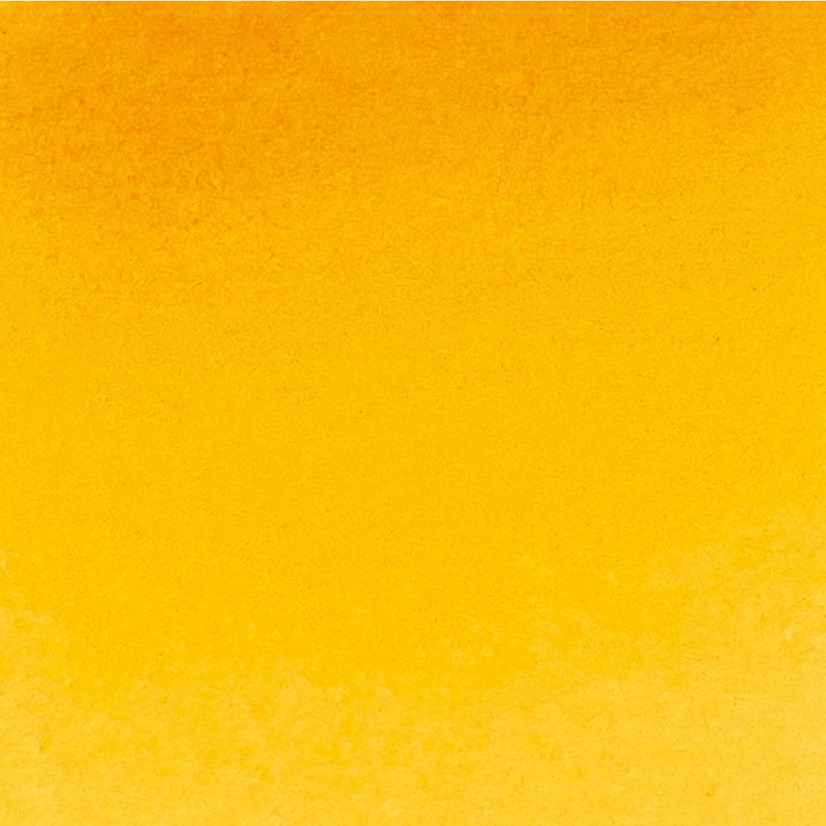 Schmincke Horadam akvarellfärg 5 ml – Indian yellow 220 | Panduro