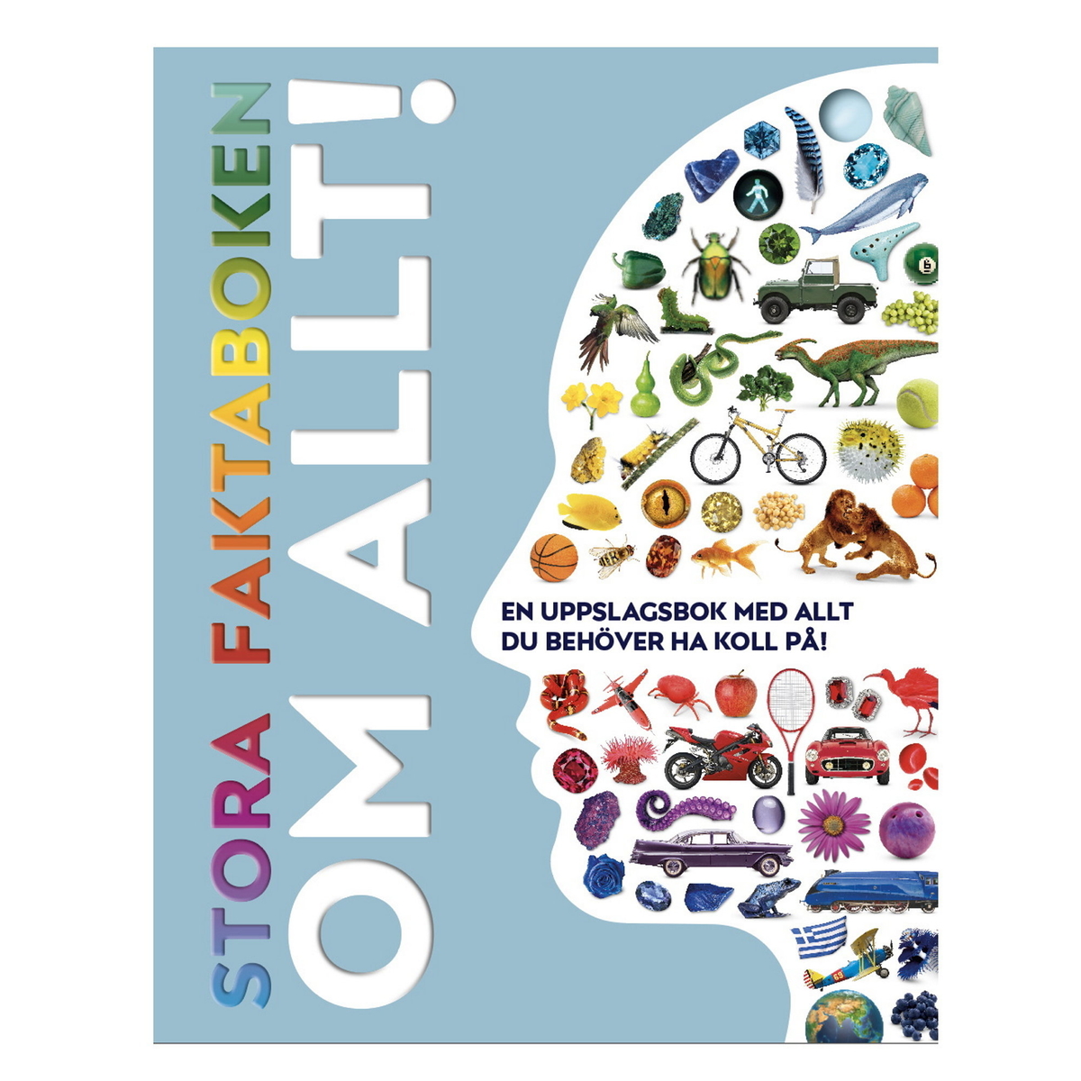 Stora faktaboken om allt! | Panduro