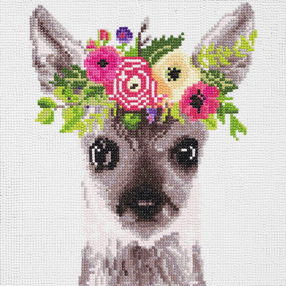 Panduro – Længe leve fantasien! | Panduro