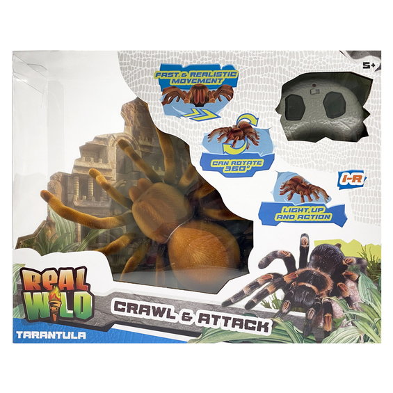 Real Wild Giant Spider – den supersnabba jättespindeln | Panduro